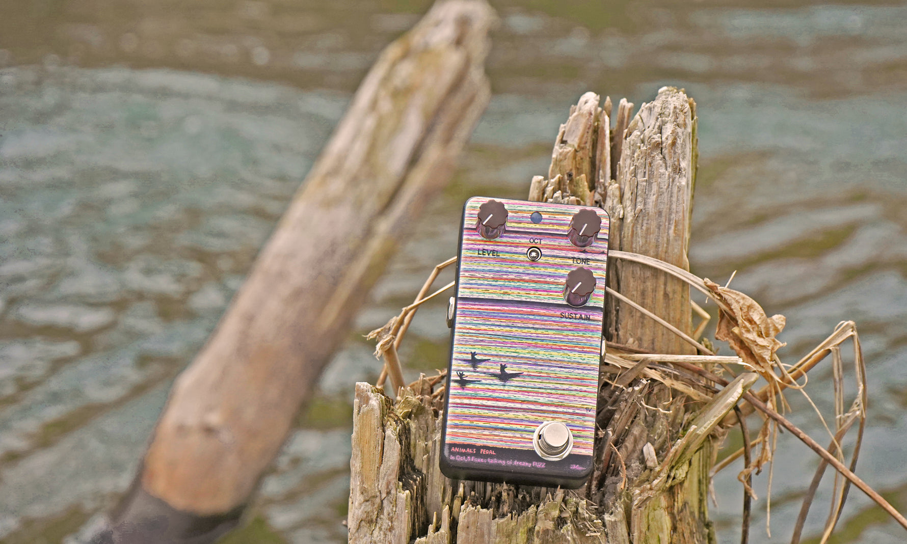 Animals Pedal - USA Official Shop – Animals Pedal USA