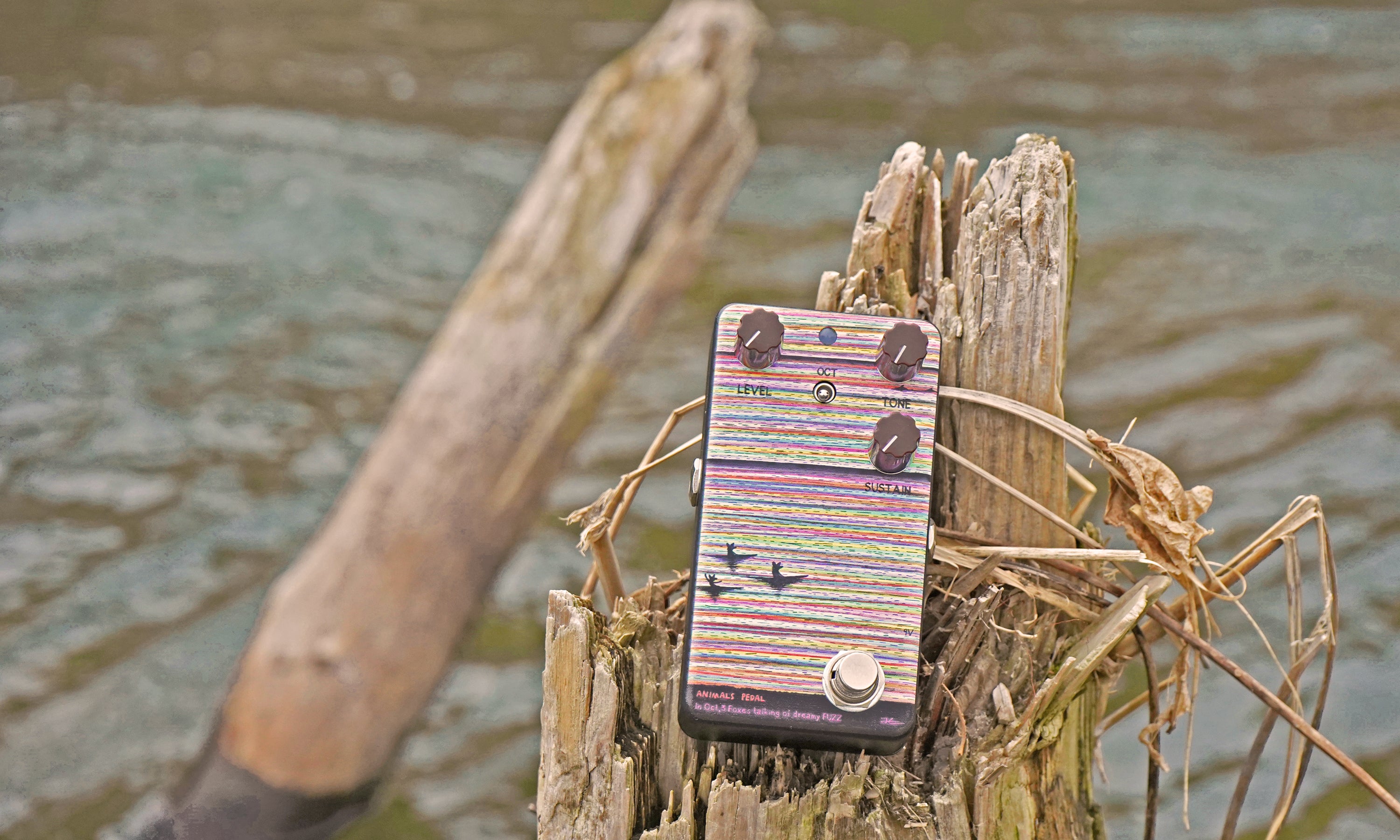 Animals Pedal - USA Official Shop – Animals Pedal USA